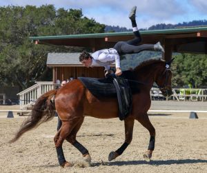About | Equestrian Vaulting USA