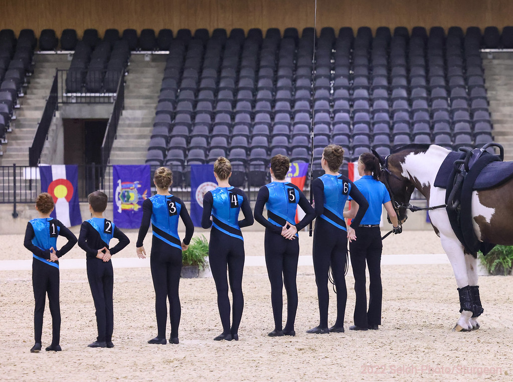 i-dHSHwV8-XL | Equestrian Vaulting USA